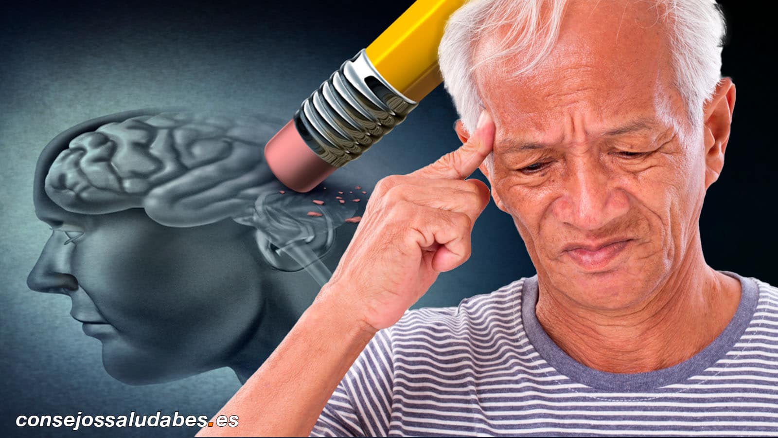 Pérdida de Memoria o Alzheimer: 7 Señales tempranas que debes tomar en ...